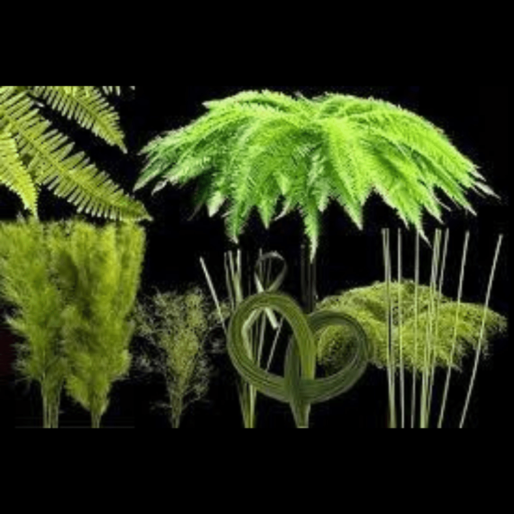 Australia Archives | Buy Bulk Australian Greens | US Greens